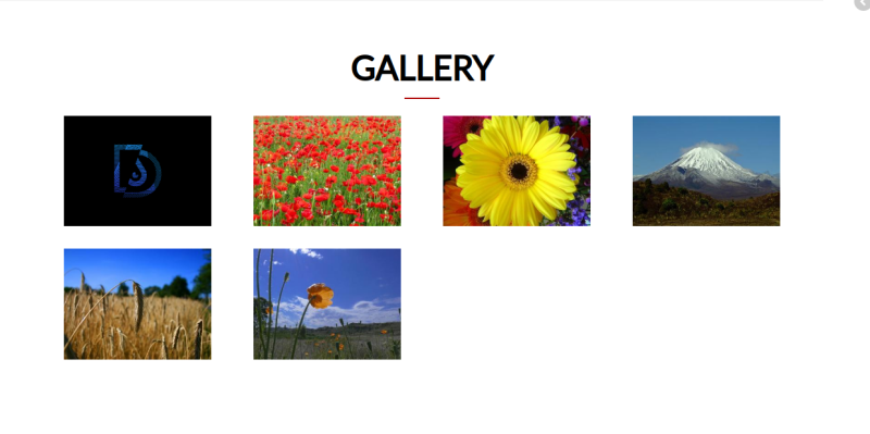 How to Create Drupal Image Gallery | Droptica